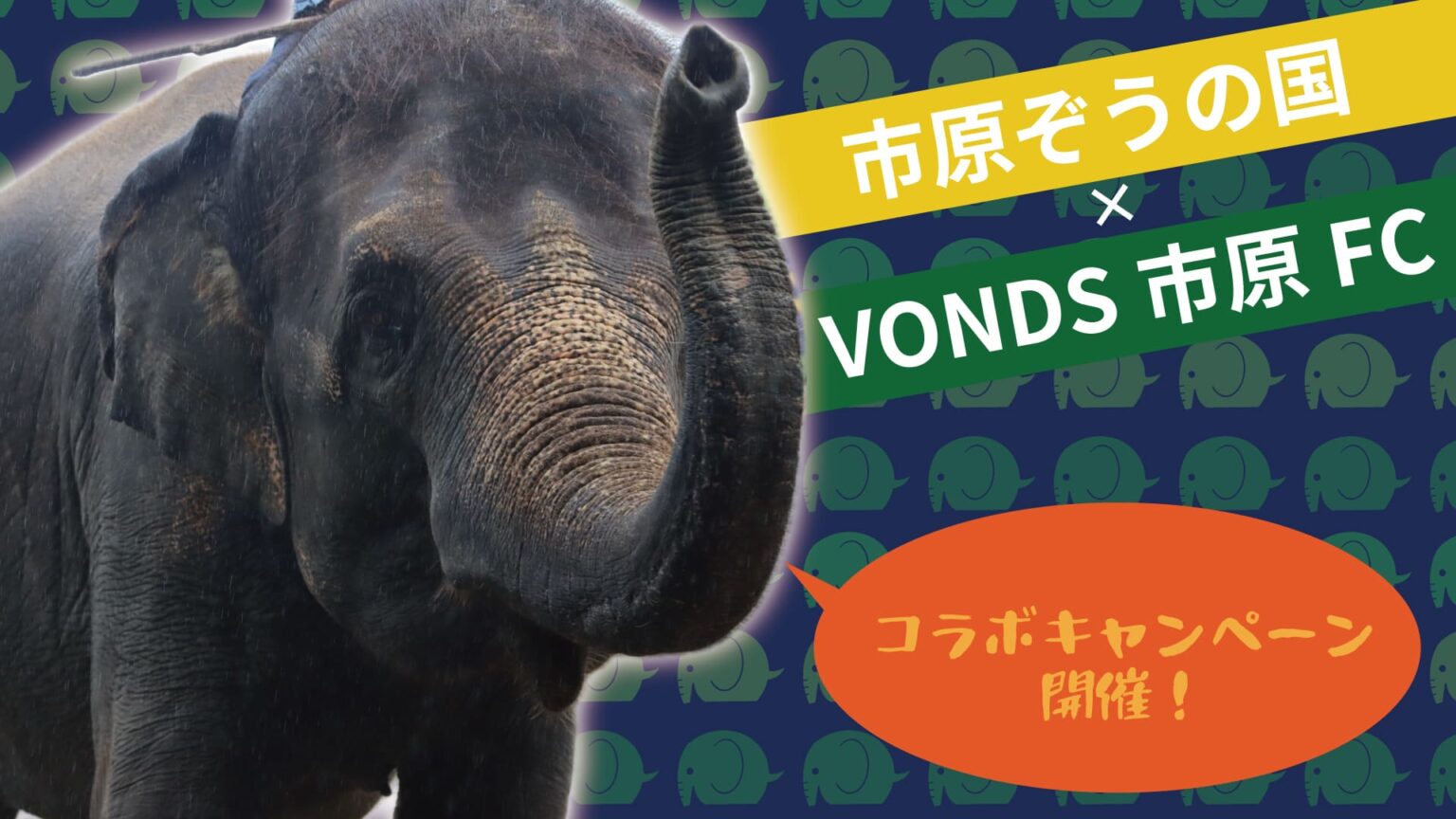 【TOP】市原ぞうの国×VONDS市原FC コラボキャンペーン開催 - VONDS市原